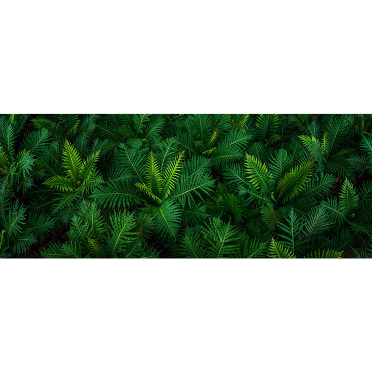 Mudgee Vineyard, Sunset. New South Wales Landscape Photography Wall Art ...